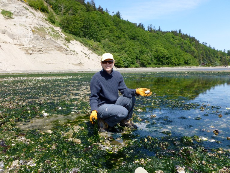 How to harvest, prepare and cook fresh mussels | The Solo Cook